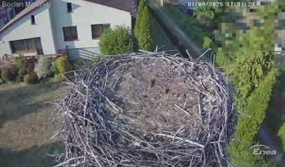 Livecams from Europe - WorldCam.Live