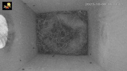 WorldCam.Live - Hosting for webcams